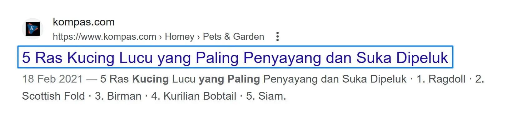 dibimbing.id - Apa Itu Title Tag? Fungsi dan Cara Menulisnya untuk SEO